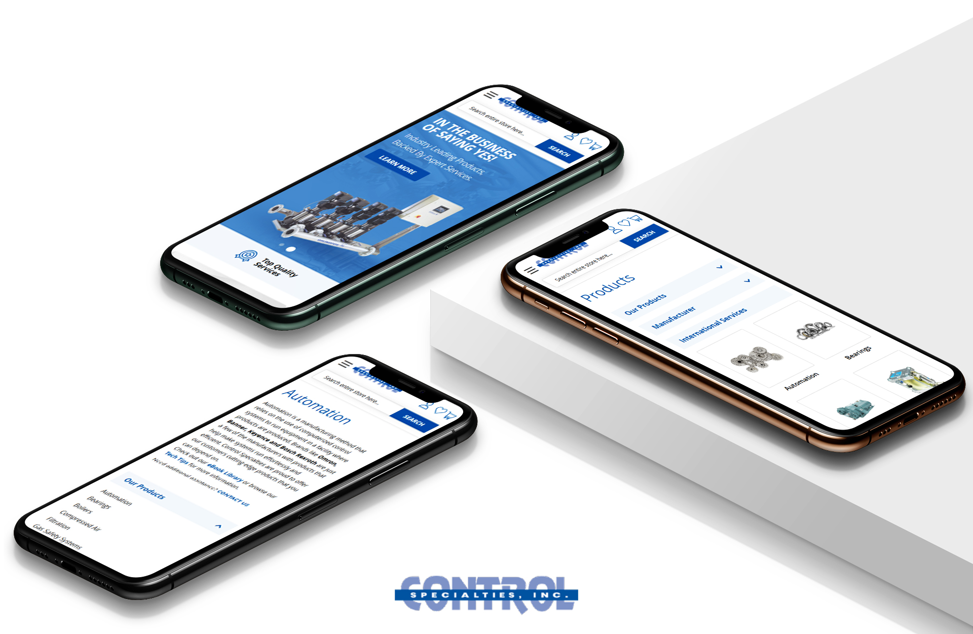 Control Specialties Case Study | ioVista